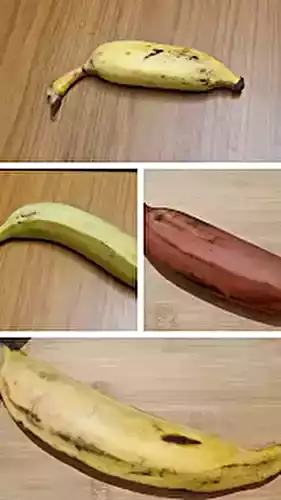 Calories in 1 Banana & Benefits (Kela Khane Ke Fayde): The Ultimate ...